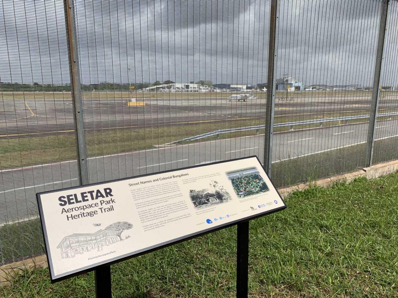 Seletar with kids: Things to do & where to eat| HoneyKids Asia