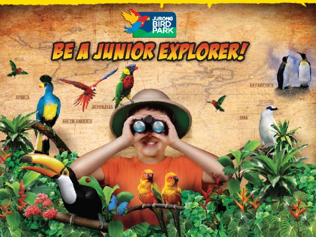 Junior Avian Keeper | HoneyKids Asia
