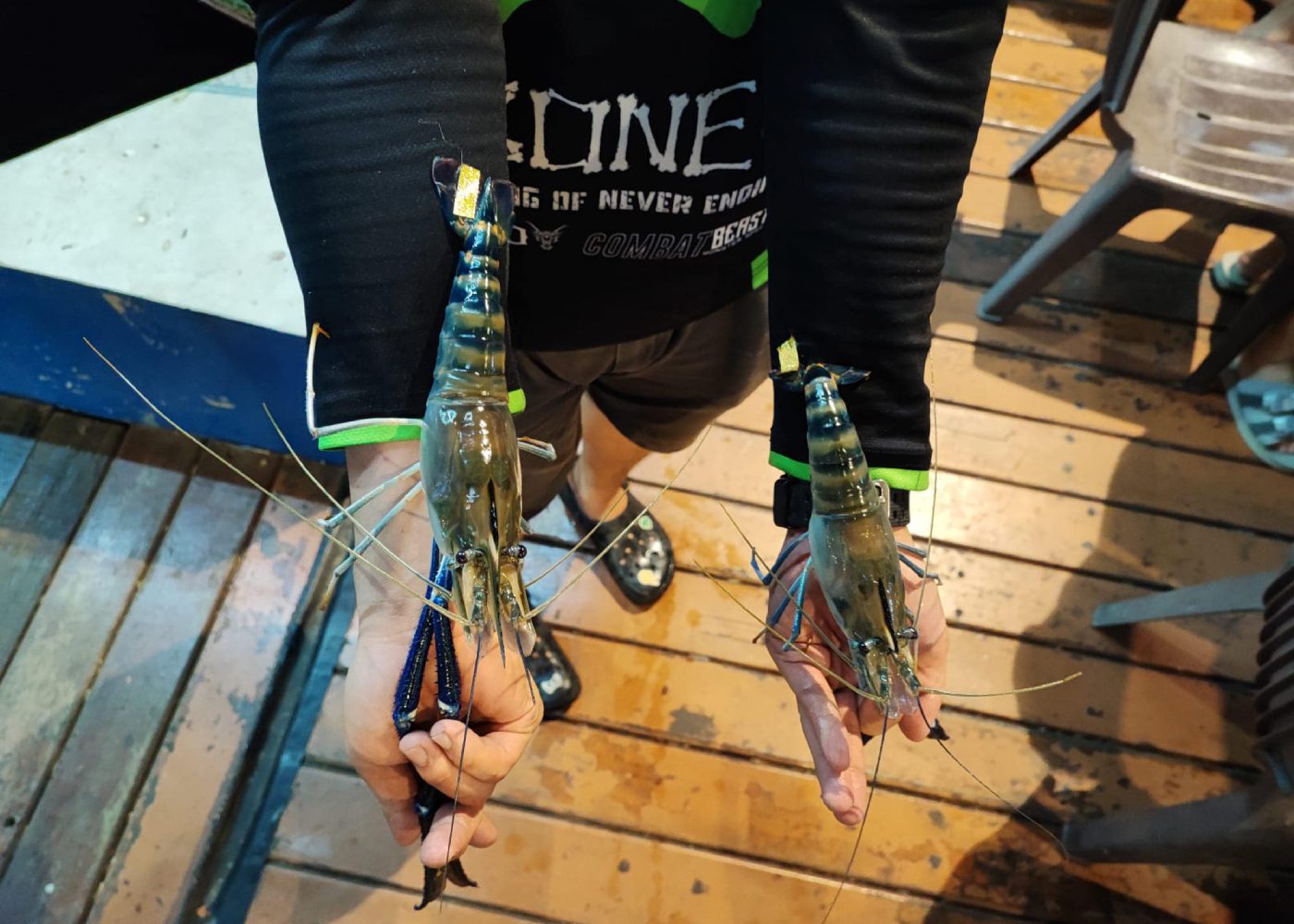 The best places to go prawning in Singapore | HoneyKids Asia