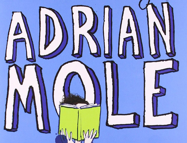 Sue Townsend Adrian Mole | Great Books For Kids | Honey Kids Asia