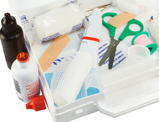 Emergency Response Plan | IPC SIngapore | Honey Kids Asia