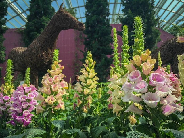 Flowery Fun Times | HoneyKids Asia