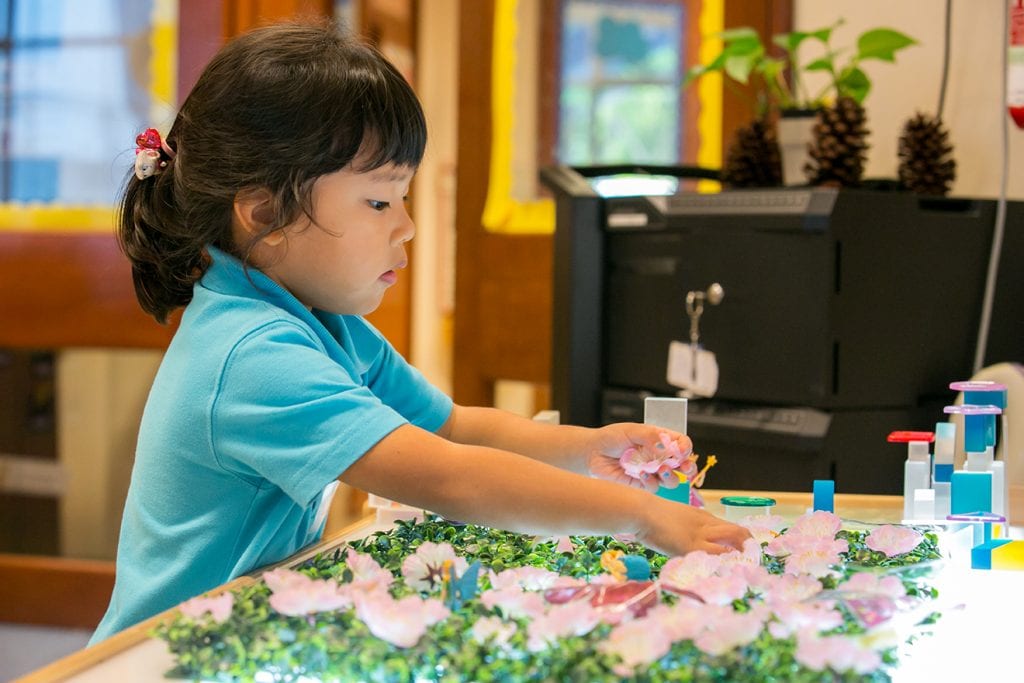 UWCSEA Dover Open Day: Infant School (4-6 years) | HoneyKids Asia