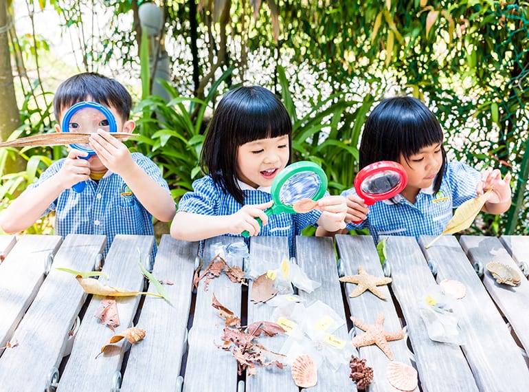 Learning Vision @ Interlocal Grand Opening | HoneyKids Asia