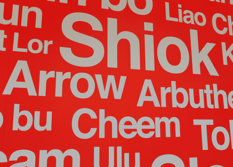 10 Essential Singlish words you should know to speak like a local