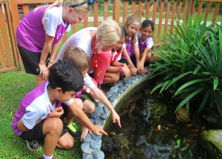 Discover the benefits of Outdoor Learning Programme at CIS's Outdoor ...