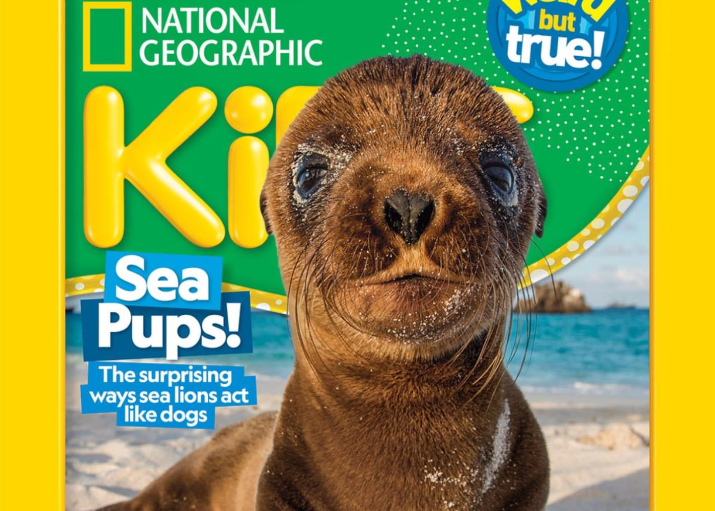 Best kids magazines to get a subscription for | HoneyKids Asia