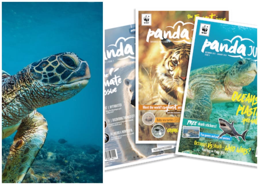 Best kids magazines to get a subscription for | HoneyKids Asia