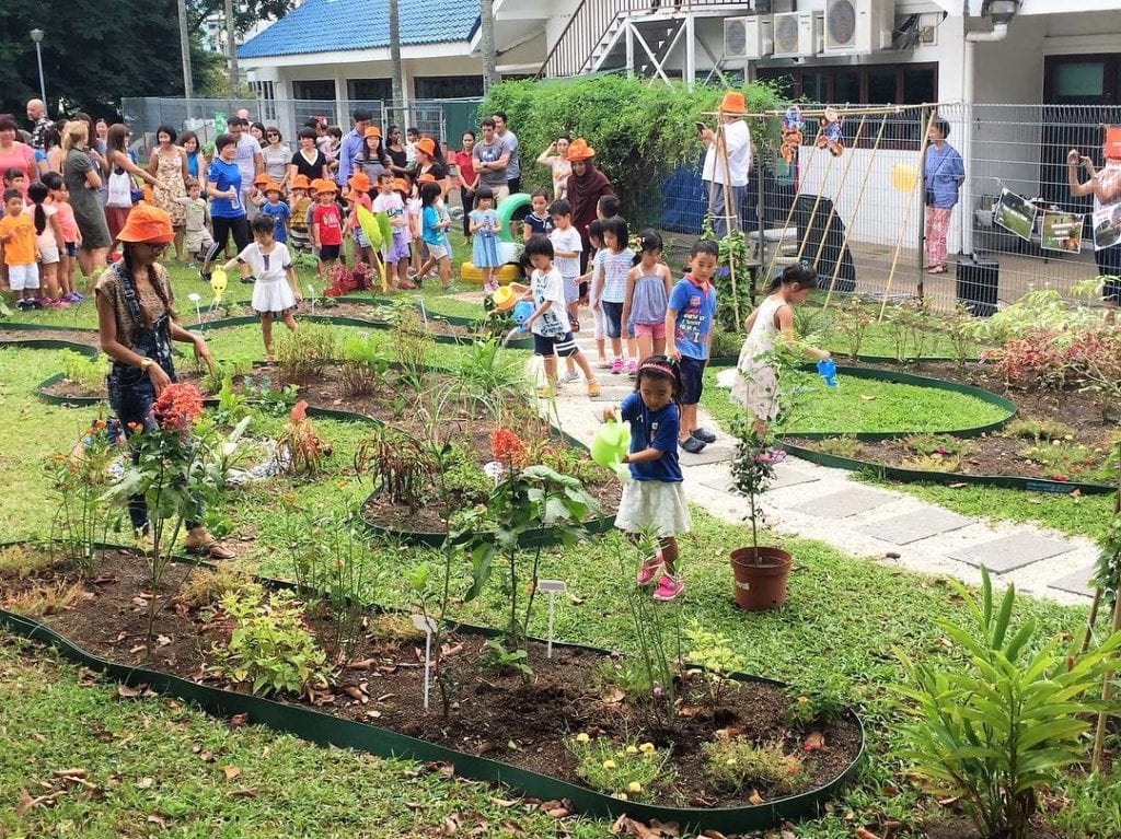 Urban gardening with kids in Singapore | HoneyKids Asia