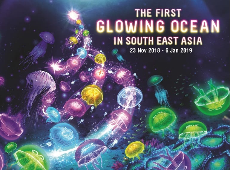 Glowing Ocean at S.E.A. Aquarium | HoneyKids Asia