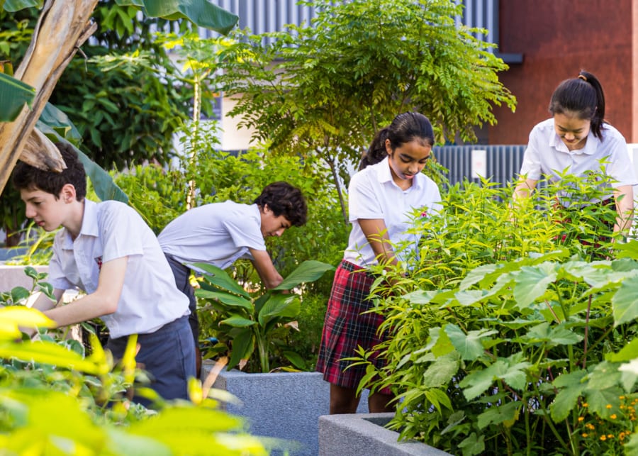 Sustainable international schools in Singapore | HoneyKids Asia