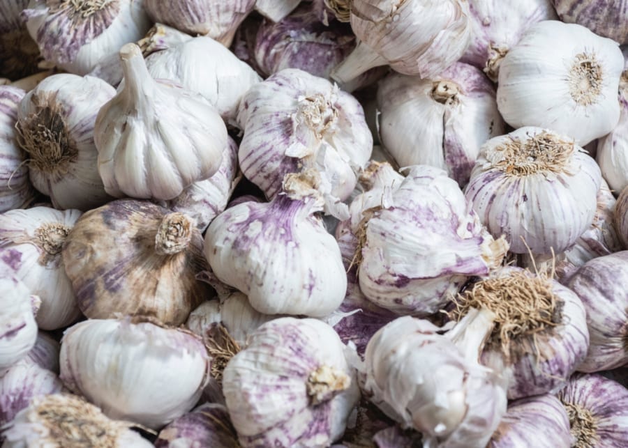 Fact or fiction? Find out if these Covid-19 myths are true | HoneyKids Asia