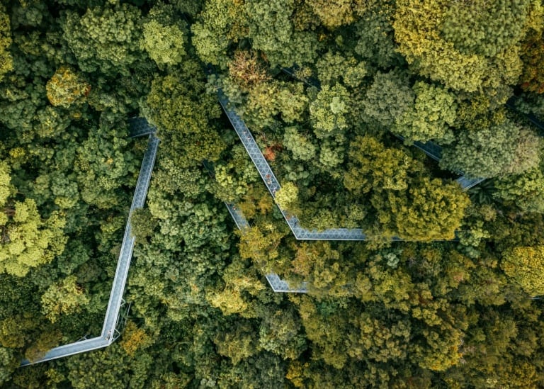 An easy guide to Singapore's Park Connector Network | HoneyKids Asia