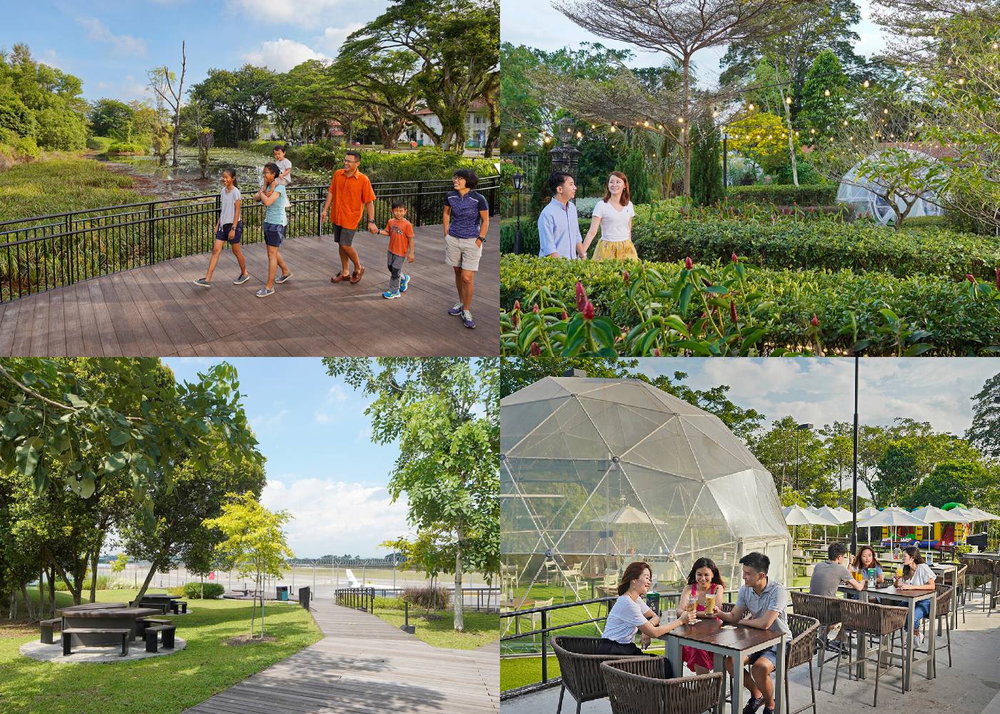 Seletar with kids: Things to do & where to eat| HoneyKids Asia