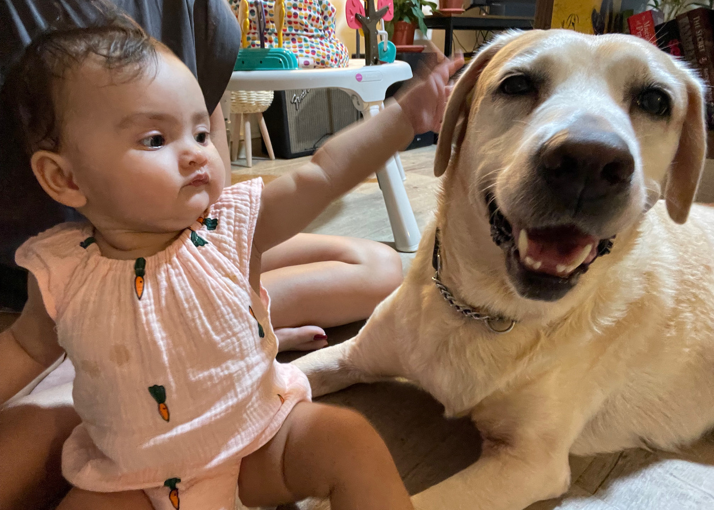 Here's how we introduced our fur babies to our real baby | HoneyKids Asia