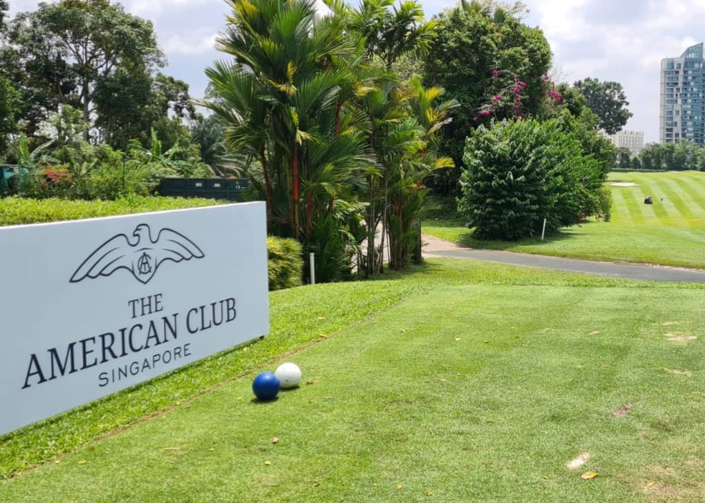 Members only: The best social clubs for families | HoneyKids Asia