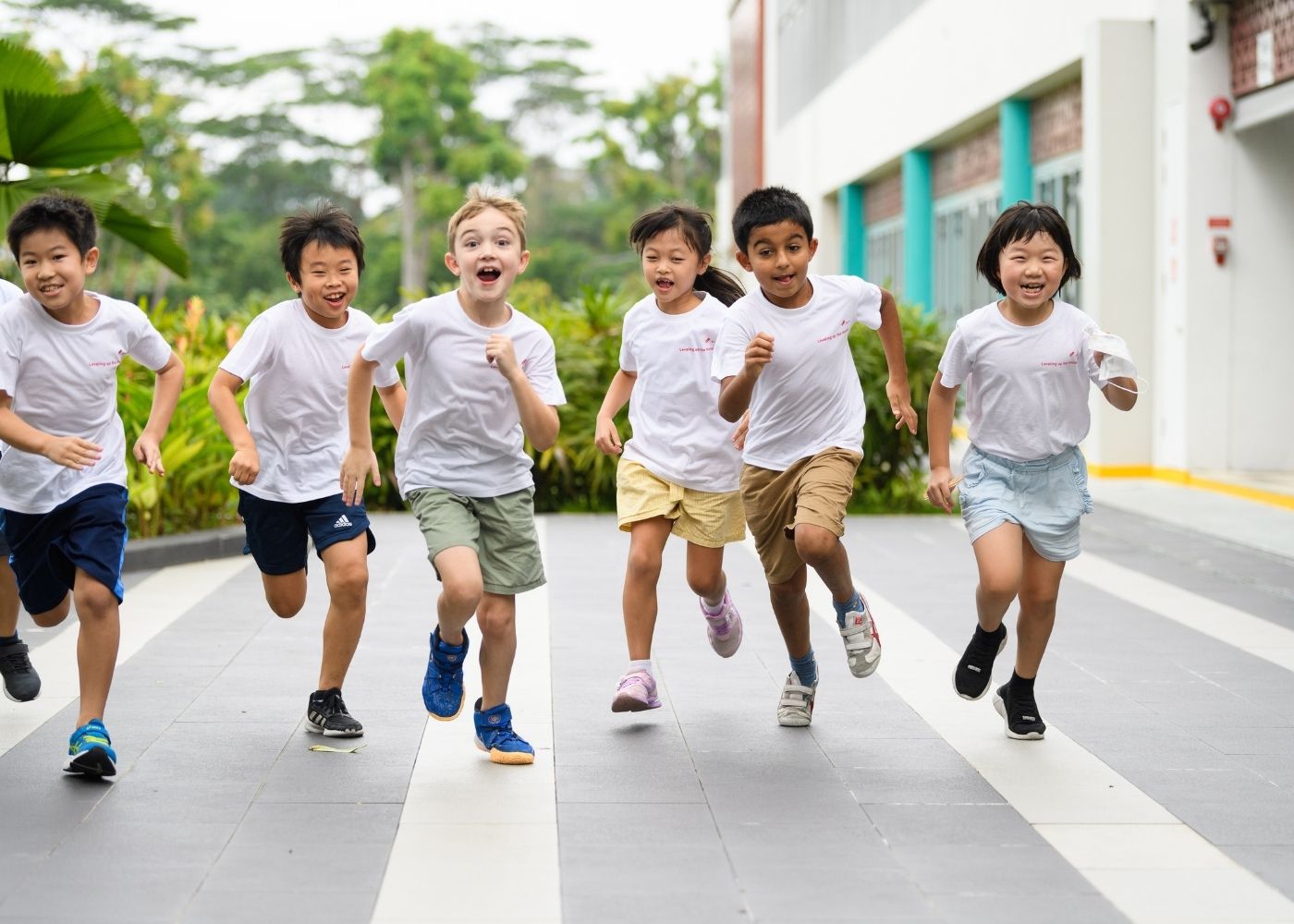 2022 summer holiday camps for kids in Singapore | HoneyKids Asia