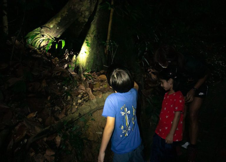 Family night out ideas in Singapore | HoneyKids Asia