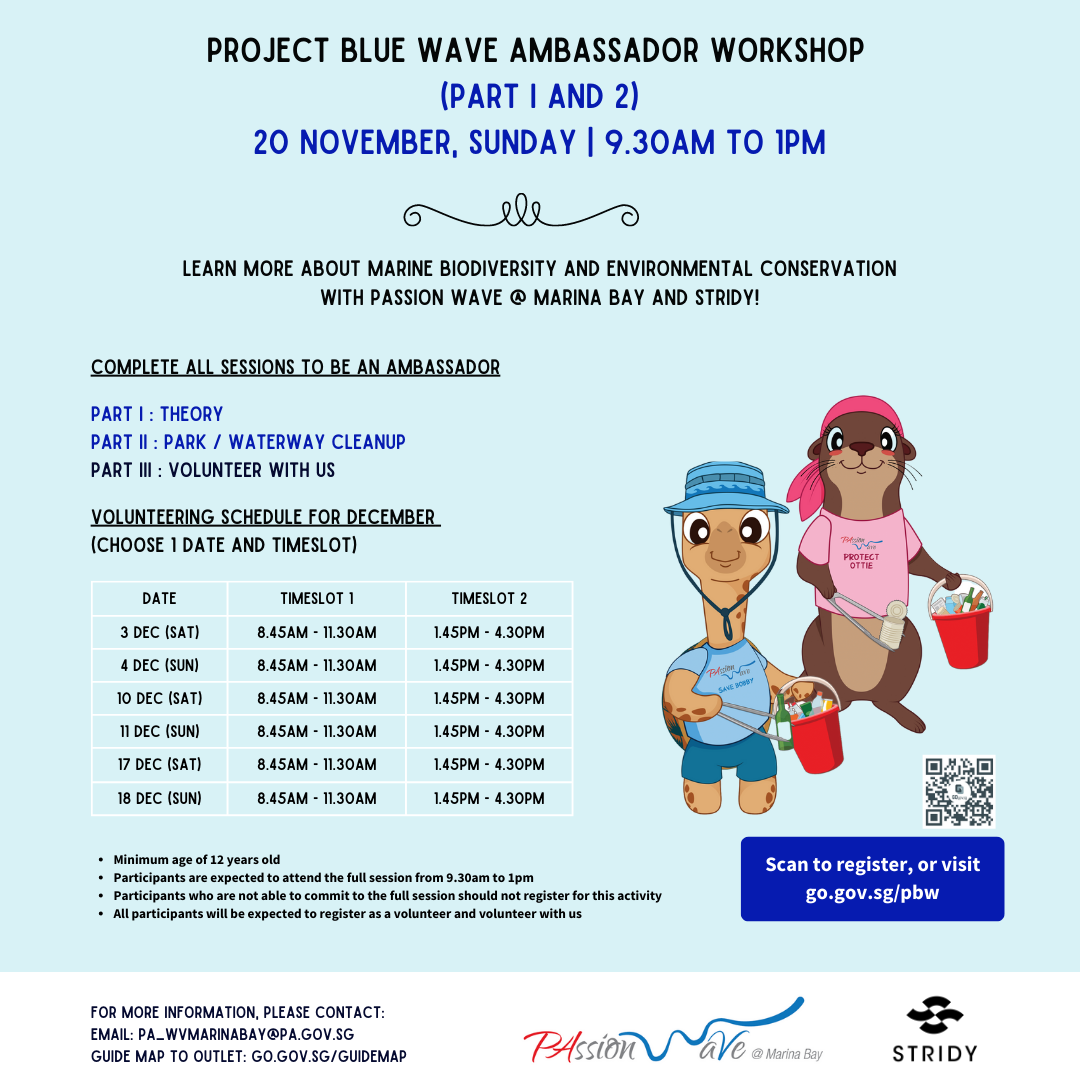 Project Blue Wave Ambassador Workshop | HoneyKids Asia