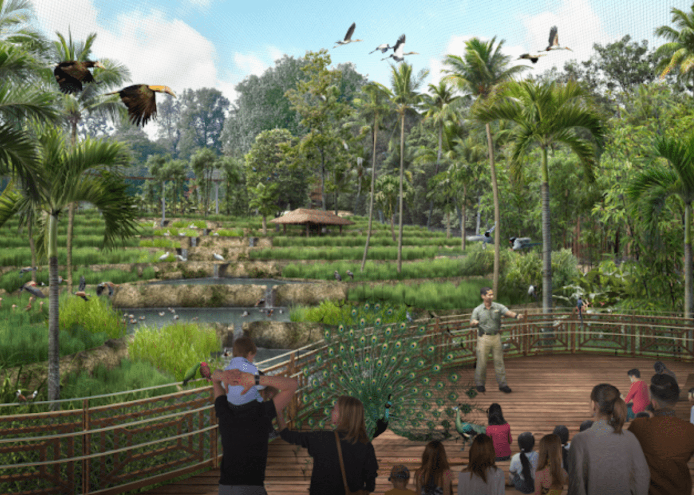 Ultimate guide to Bird Paradise in Singapore with kids | HoneyKids Asia