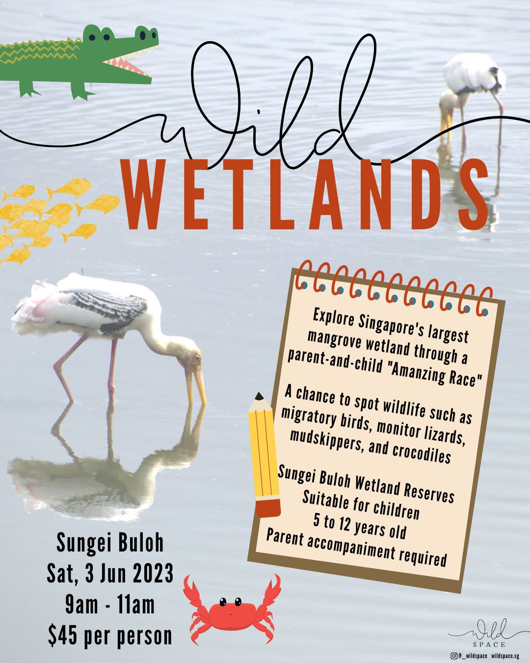 Explore the largest mangrove wetland in Singapore at Wild Wetlands ...
