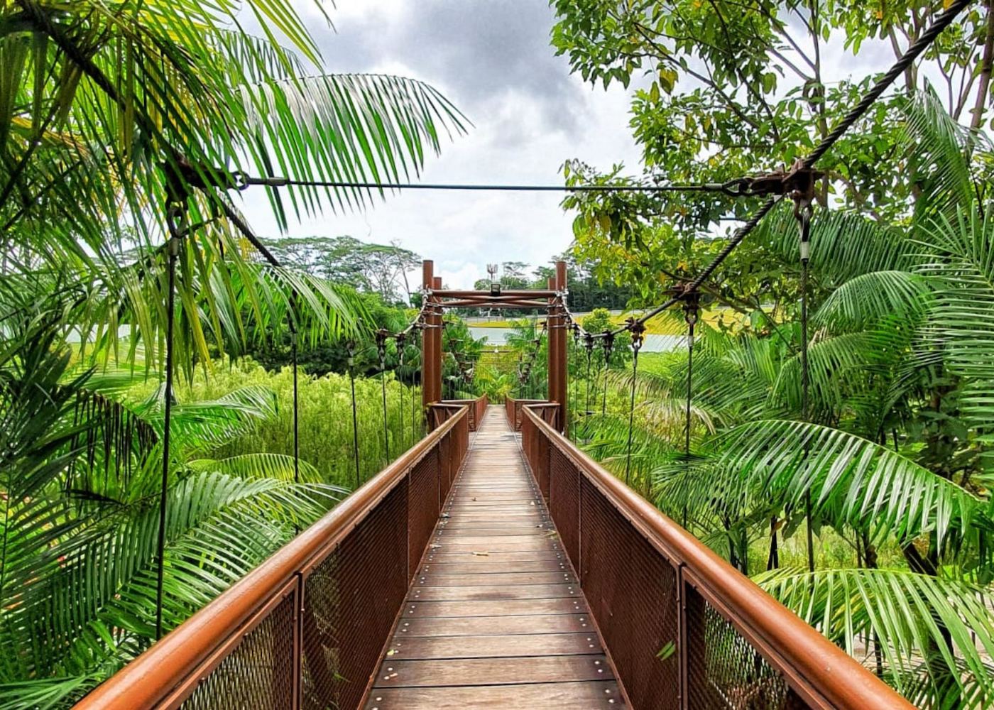 6 awesome Forest Schools in Singapore | HoneyKids Asia