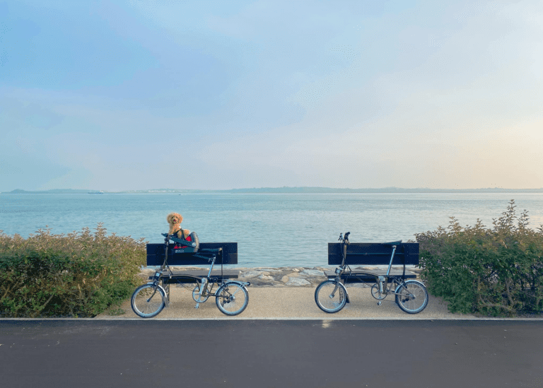 Easy Guide to Singapore Park Connector Network | HoneyKids Asia