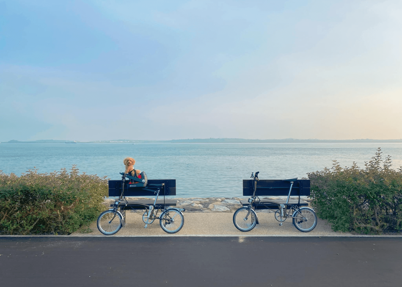 Easy guide to Singapore Park Connector Network | HoneyKids Asia