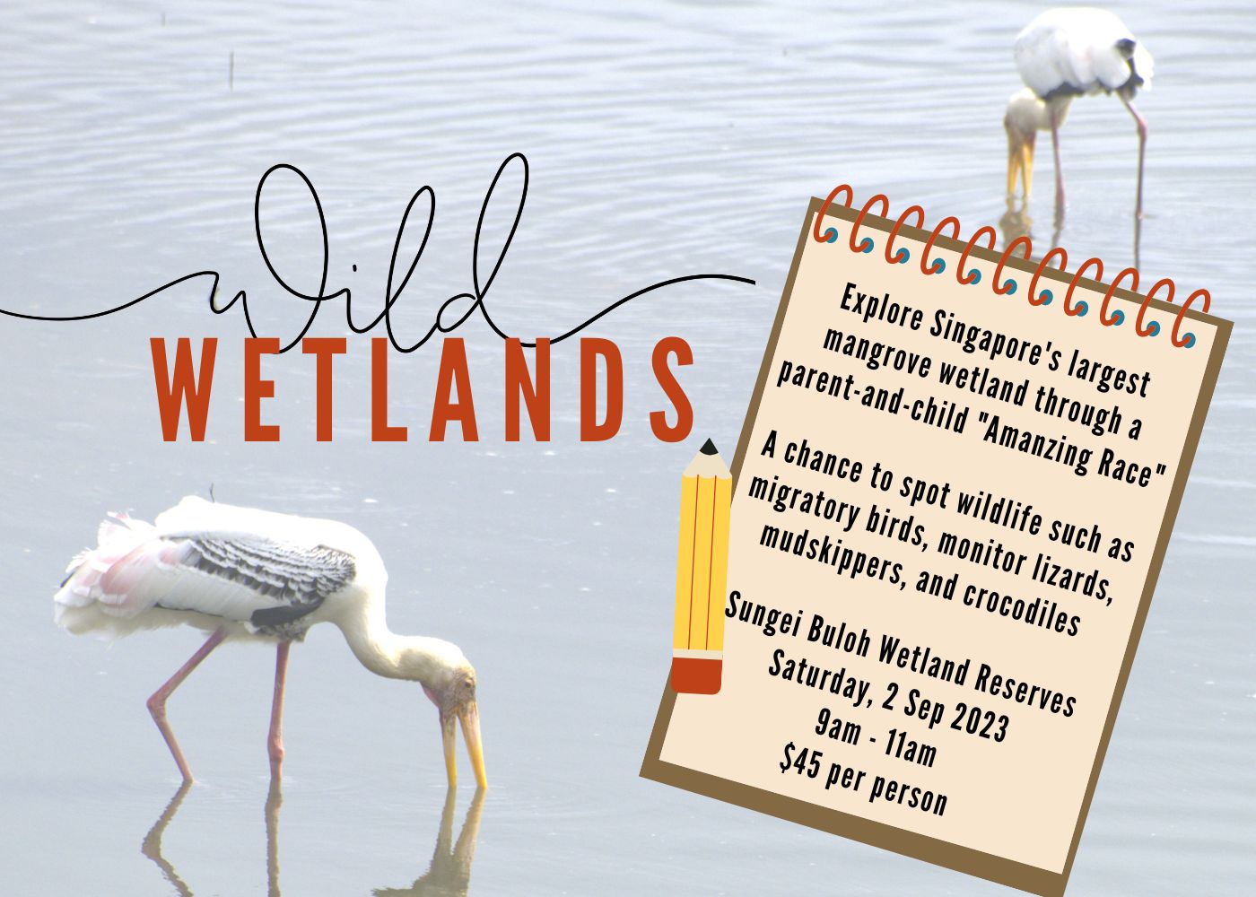 Wild Wetlands | HoneyKids Asia