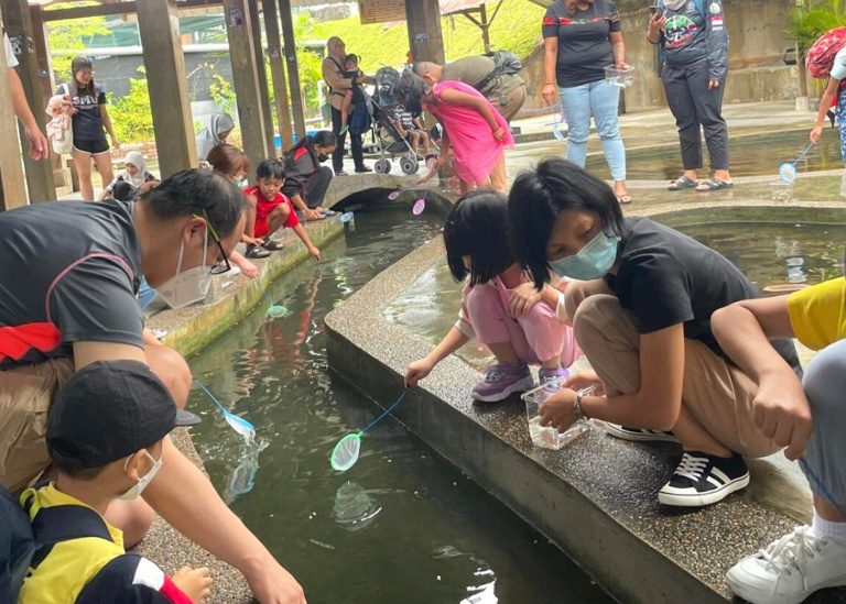 Where to go longkang fishing in Singapore | HoneyKids Asia