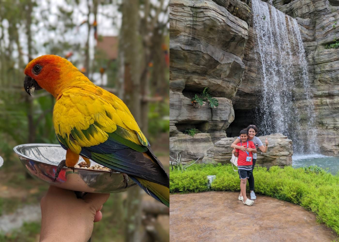 Guide to Bird Paradise Singapore: Glamping, where to eat & more