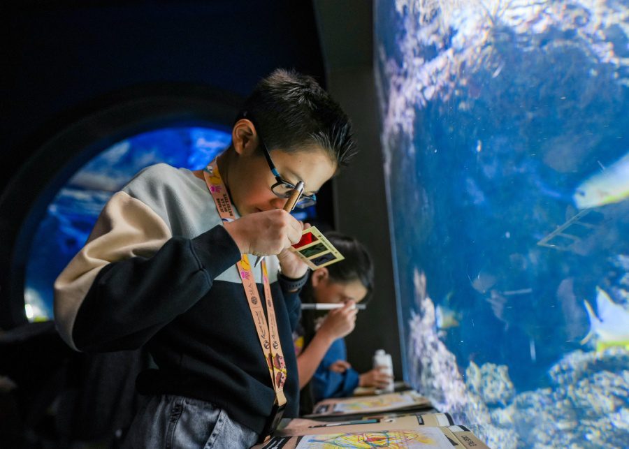 Junior Ocean Detective and Protector at S.E.A. Aquarium | HoneyKids Asia