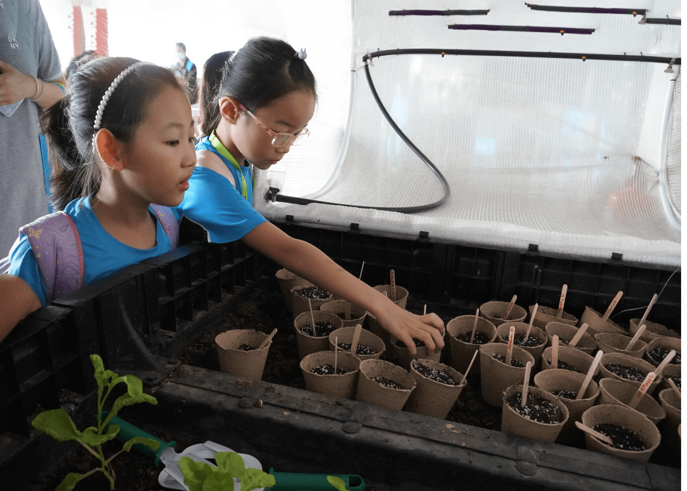 Nexus - Sustainable International School 2023 | HoneyKids Asia