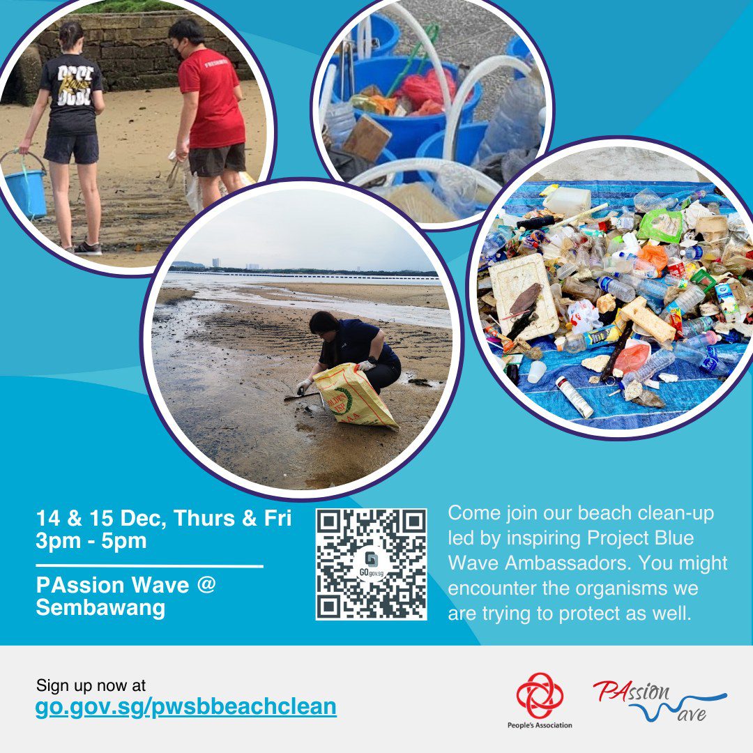 Coastal Clean up at Sembawang | HoneyKids Asia