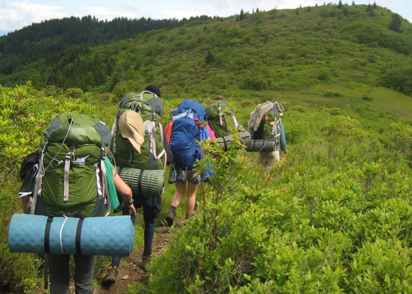 Tanglin Highlands Programme by Tanglin Trust School | HoneyKids Asia