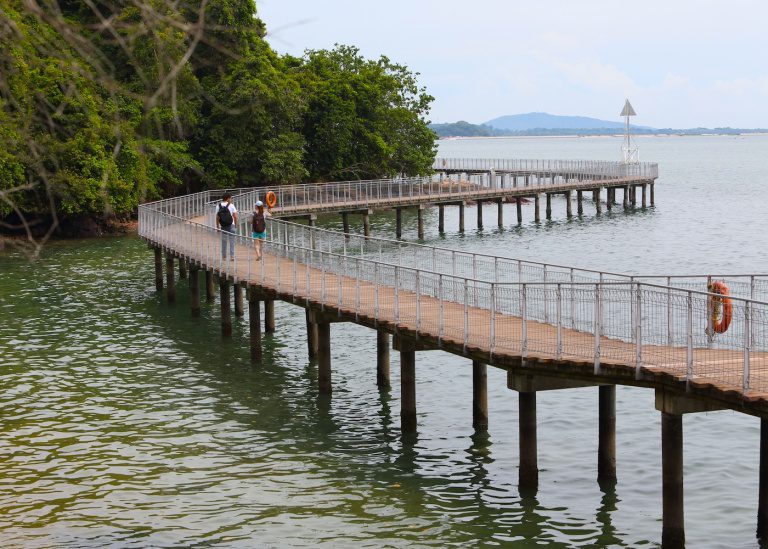 Guide to Pulau Ubin, Singapore: Ferry Prices, Things to Do & More