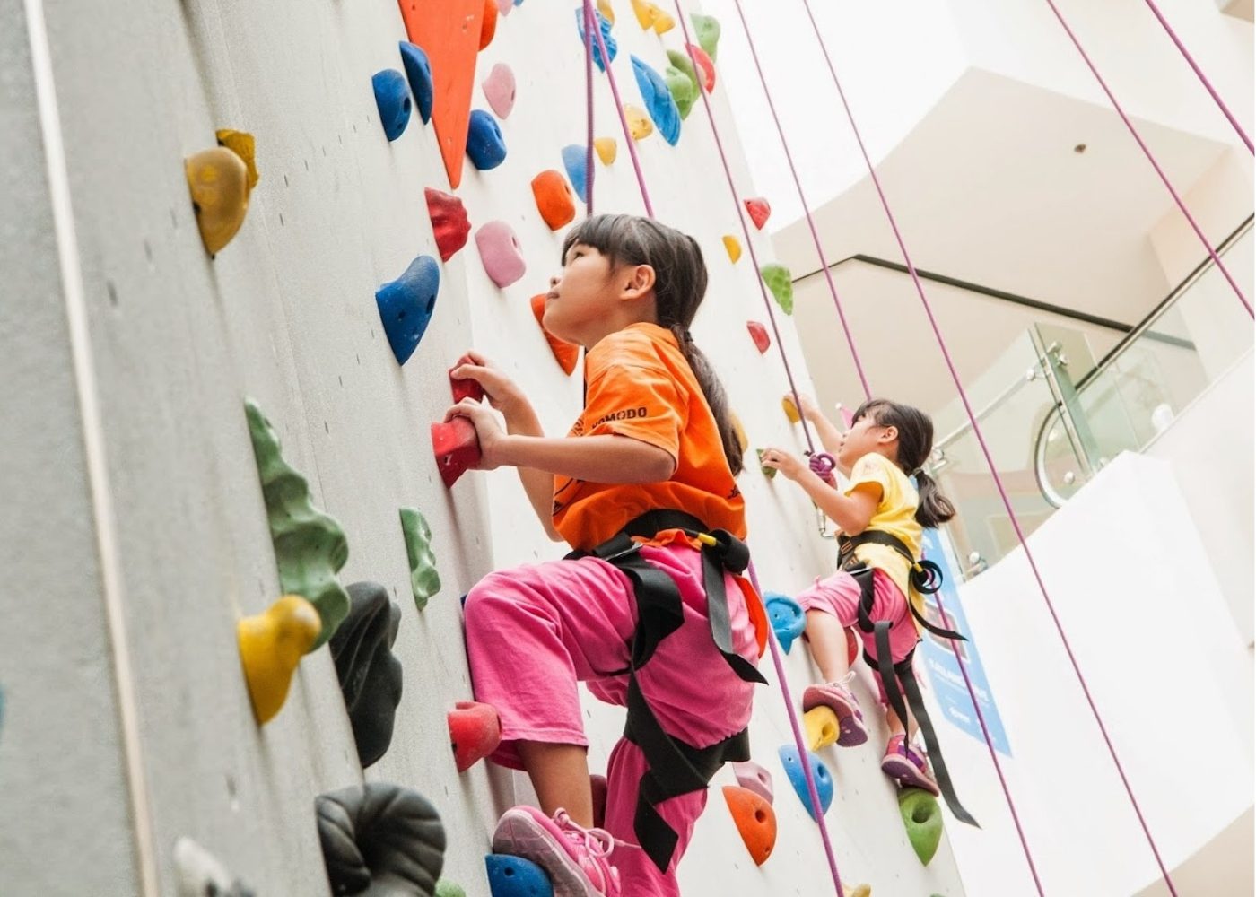 The indoor climbing gym is a popular field trip destination 60 photos ...
