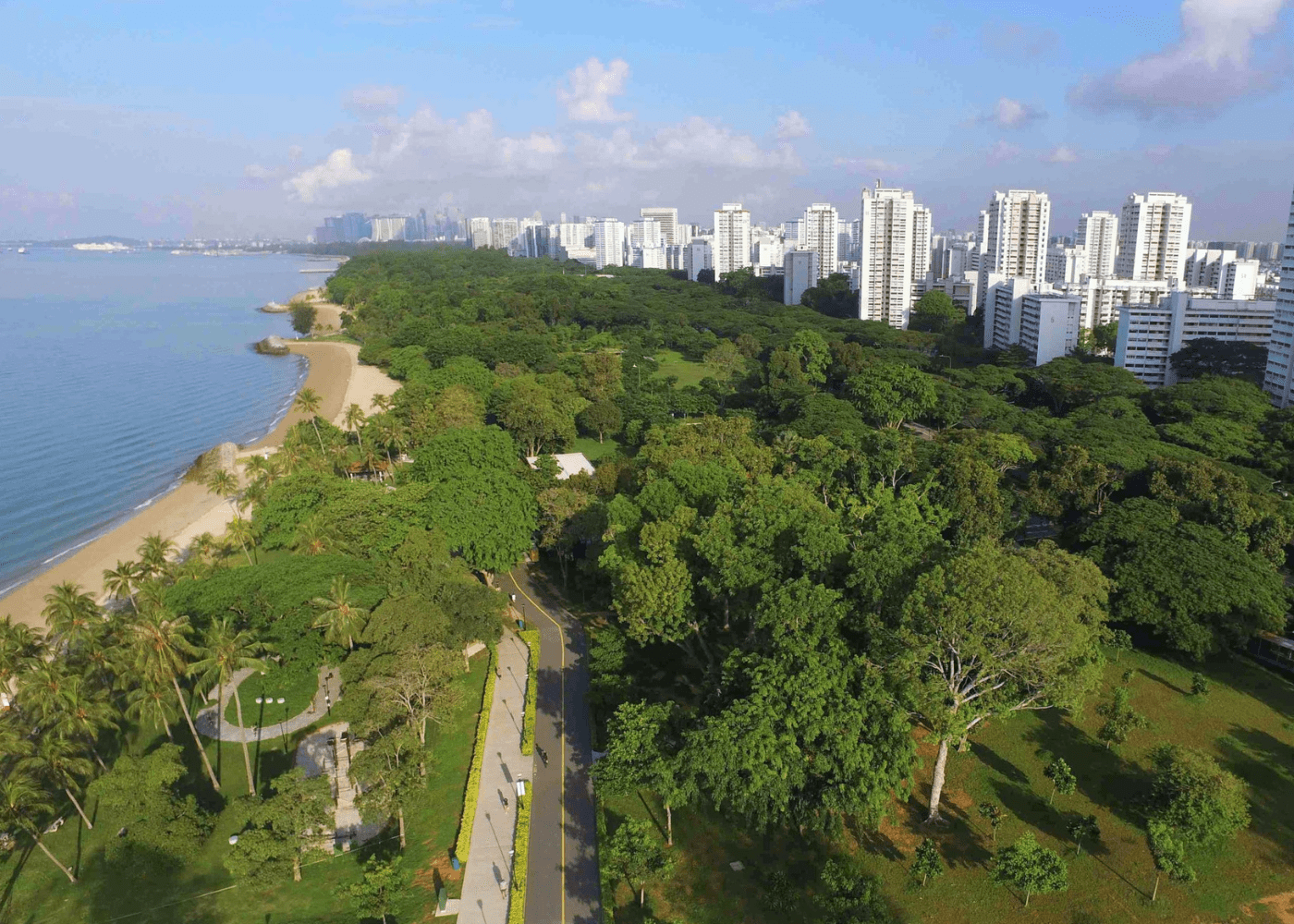 Easy Guide to Singapore Park Connector Network | HoneyKids Asia