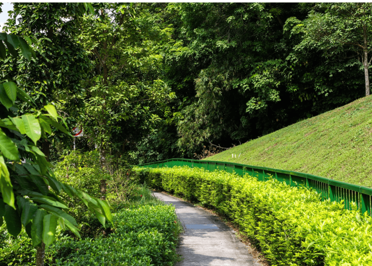 Easy Guide to Singapore Park Connector Network | HoneyKids Asia