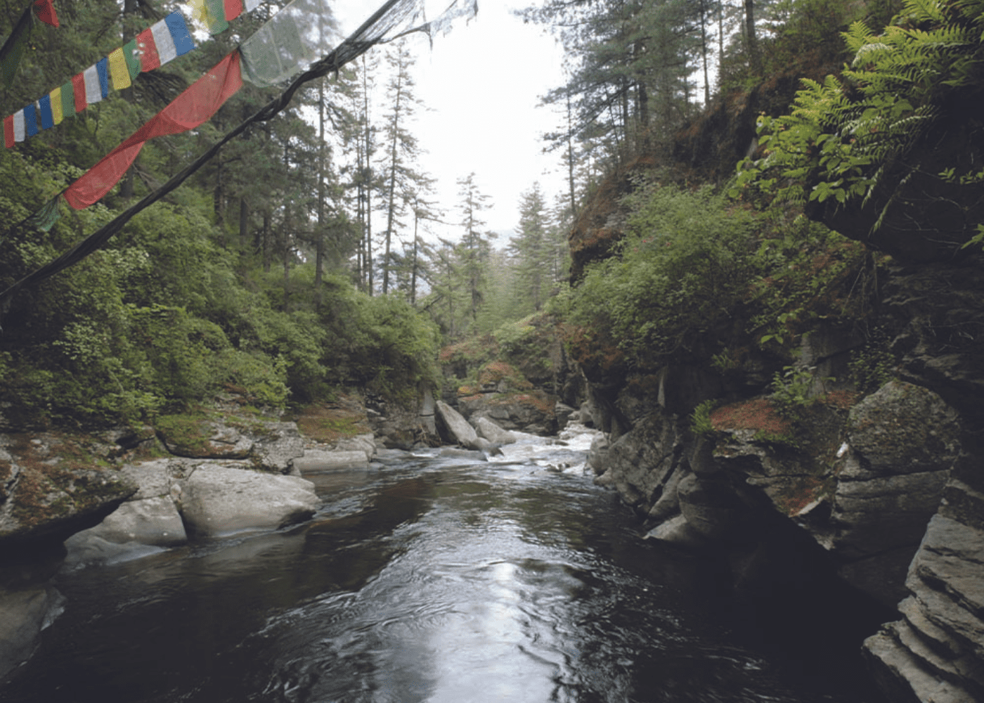 Travel from Singapore to Bhutan: When to go, visas & more