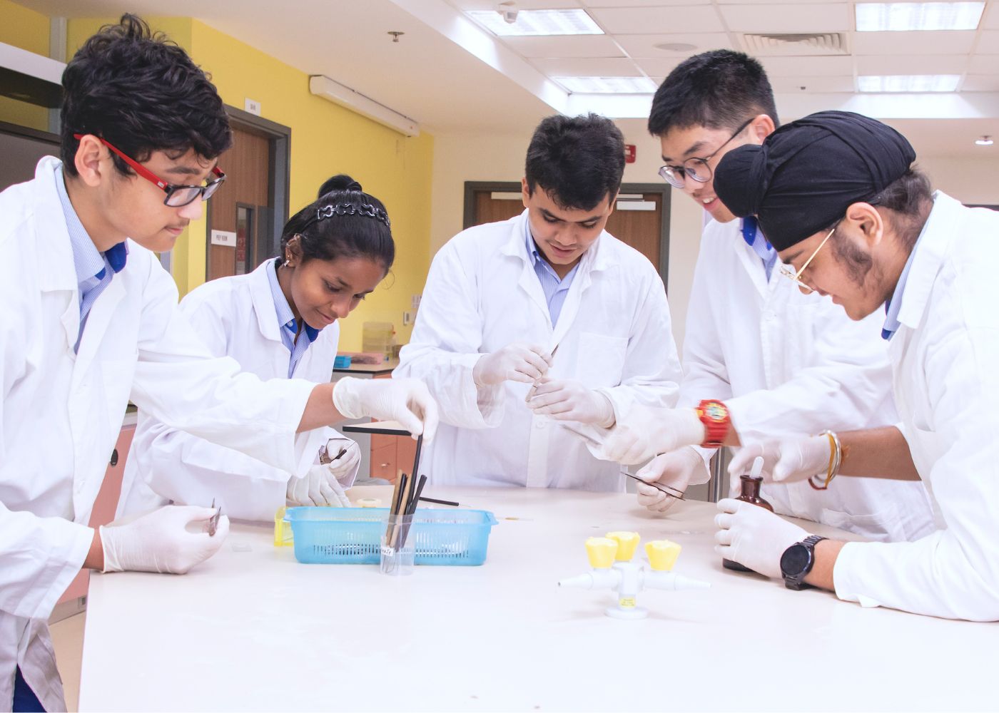 How to choose IBDP subjects: a guide | HoneyKids Asia