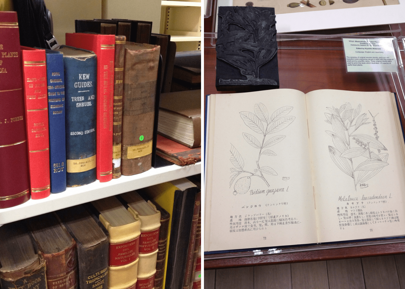 Best libraries in Singapore for families and kids | HoneyKids Asia