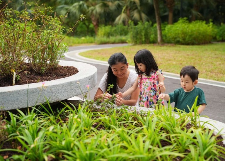 4 benefits of Singapore’s nature playgardens and therapeutic gardens ...