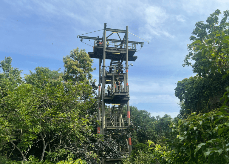 NEW! Guide to Rainforest Wild Asia: Opening Date, Tickets & More