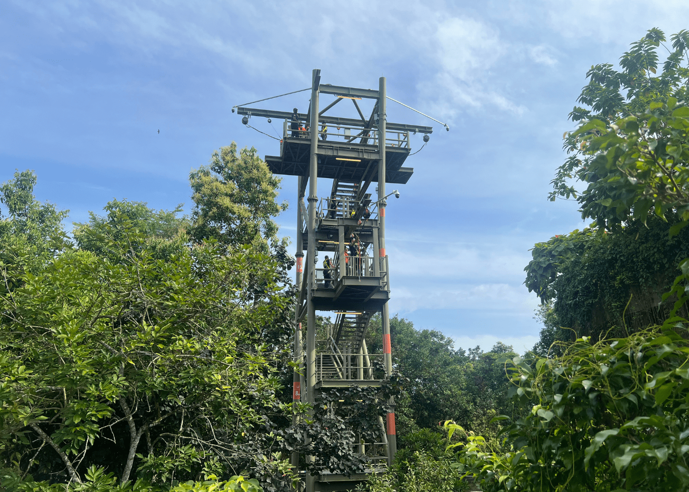 NEW! Guide to Rainforest Wild Asia: Opening Date, Tickets & More