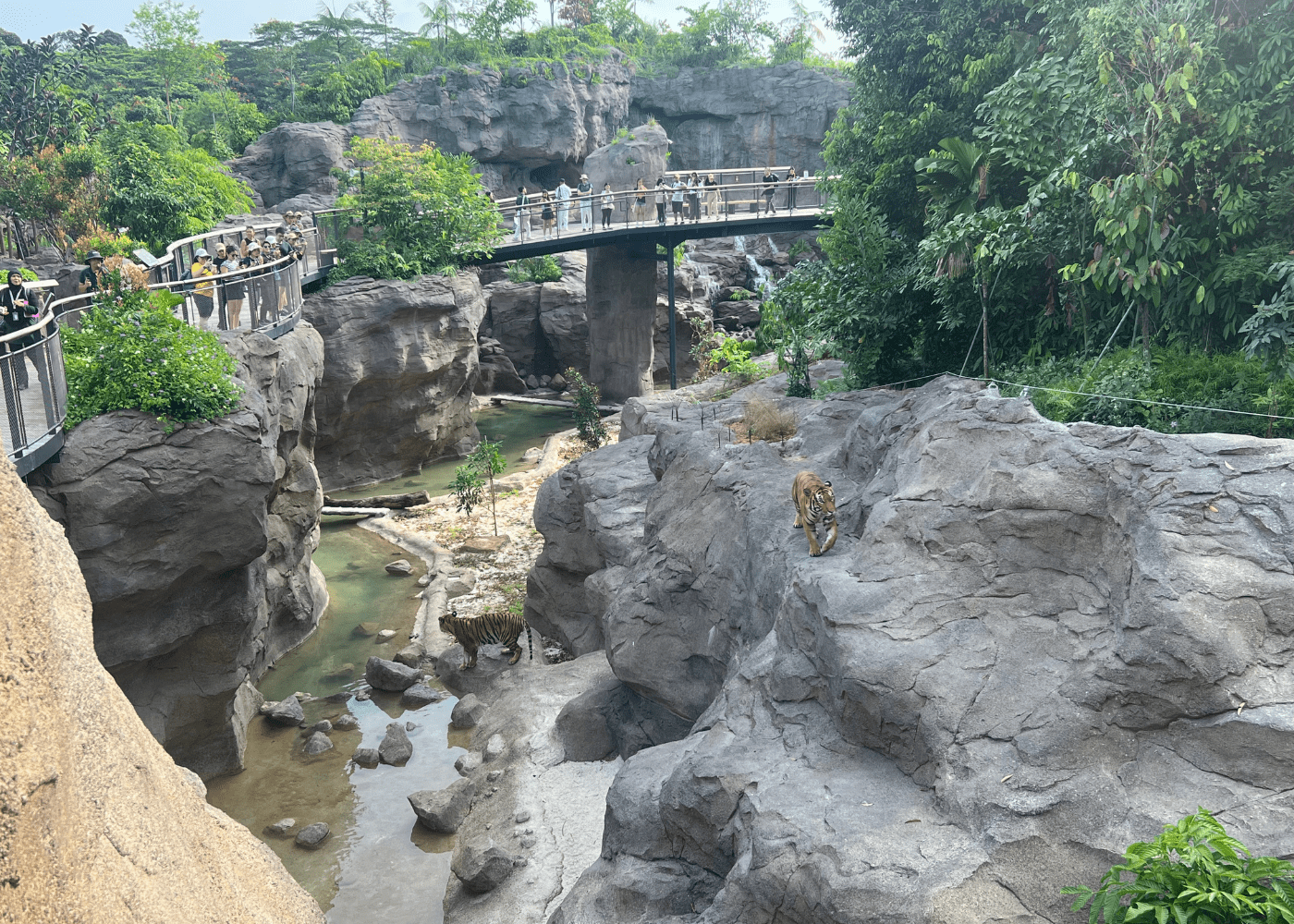 NEW! Guide to Rainforest Wild Asia: Opening Date, Tickets & More