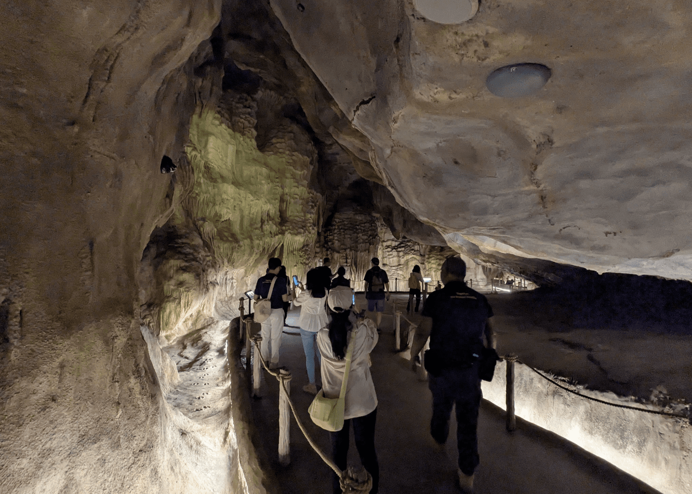 NEW! Guide to Rainforest Wild Asia: Opening Date, Tickets & More