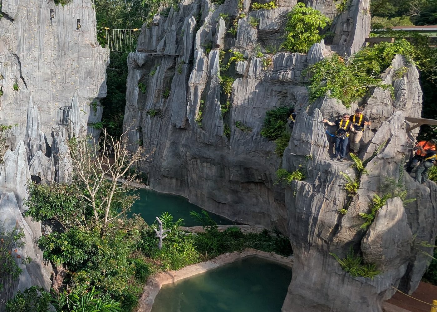 NEW! Guide to Rainforest Wild Asia: Opening Date, Tickets & More