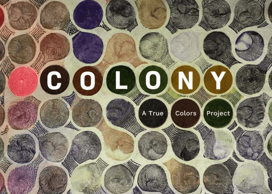 COLONY - A True Colors Project | HoneyKids Asia