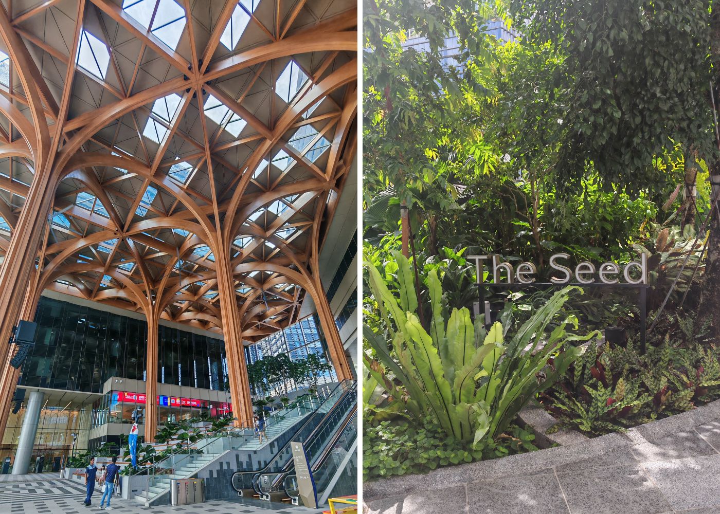 Family-friendly guide to Geneo, the latest gem in the west (furkids ...